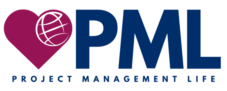 Building a Robust PMO: 10 Key Processes to Drive Success – Project ...