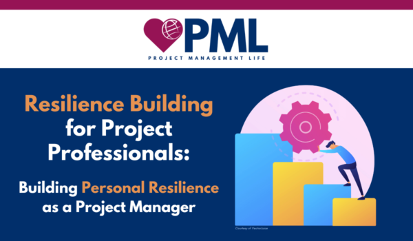 Resilience Building for Project Professionals: Building Personal ...