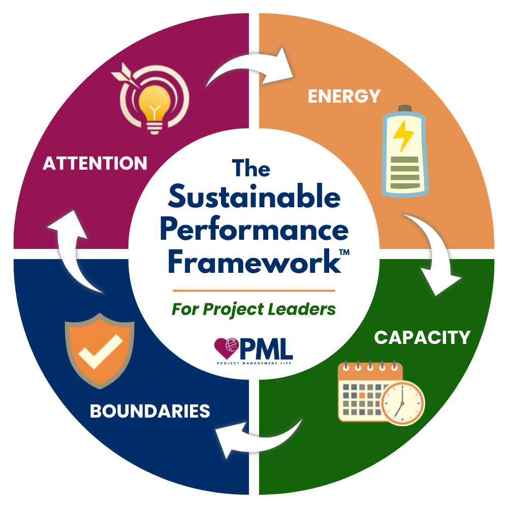 An Introduction to Sustainable Performance: Why Project Leaders Need a ...